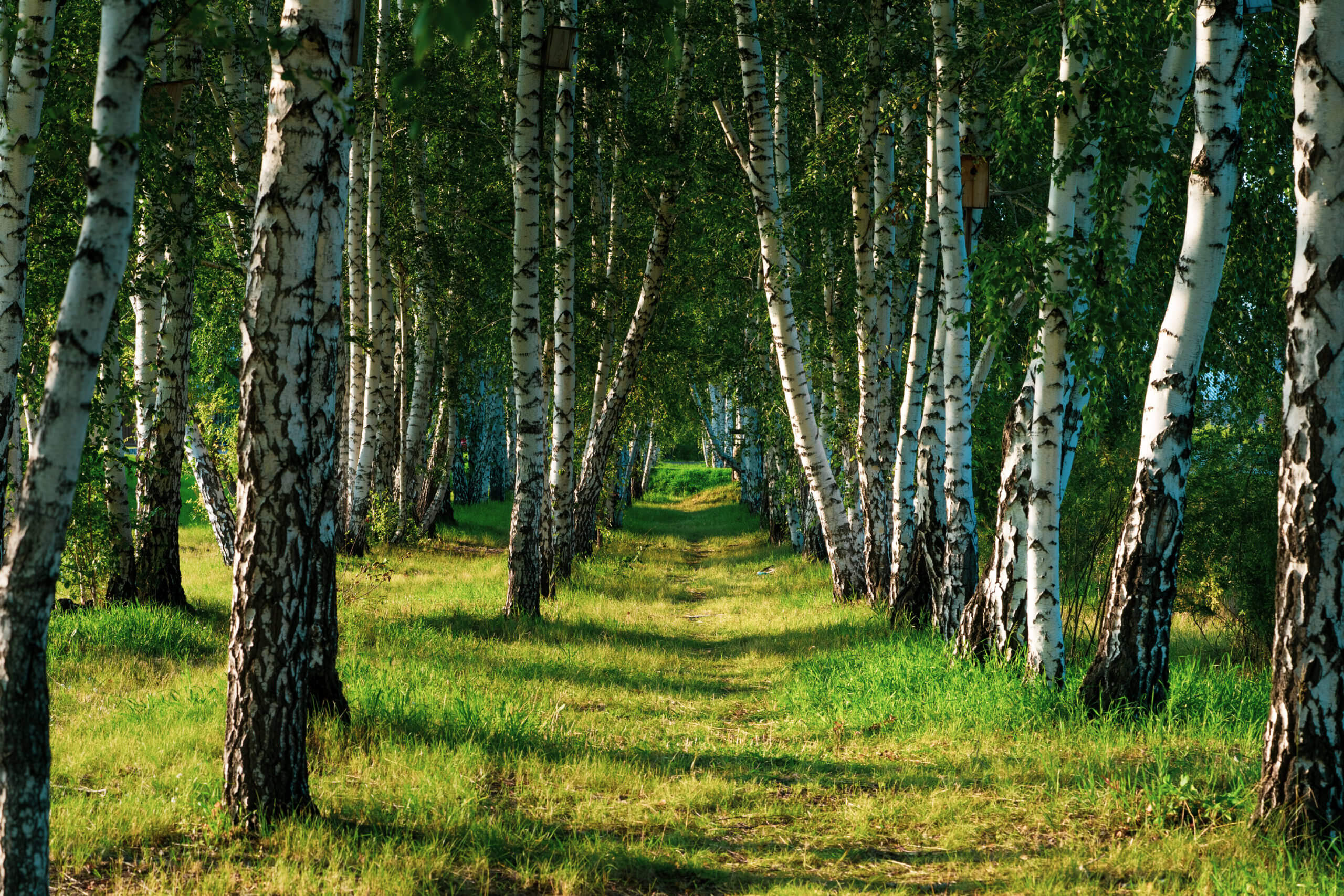 One Box, Multiple Trips, Endless Efficiency - Octobox